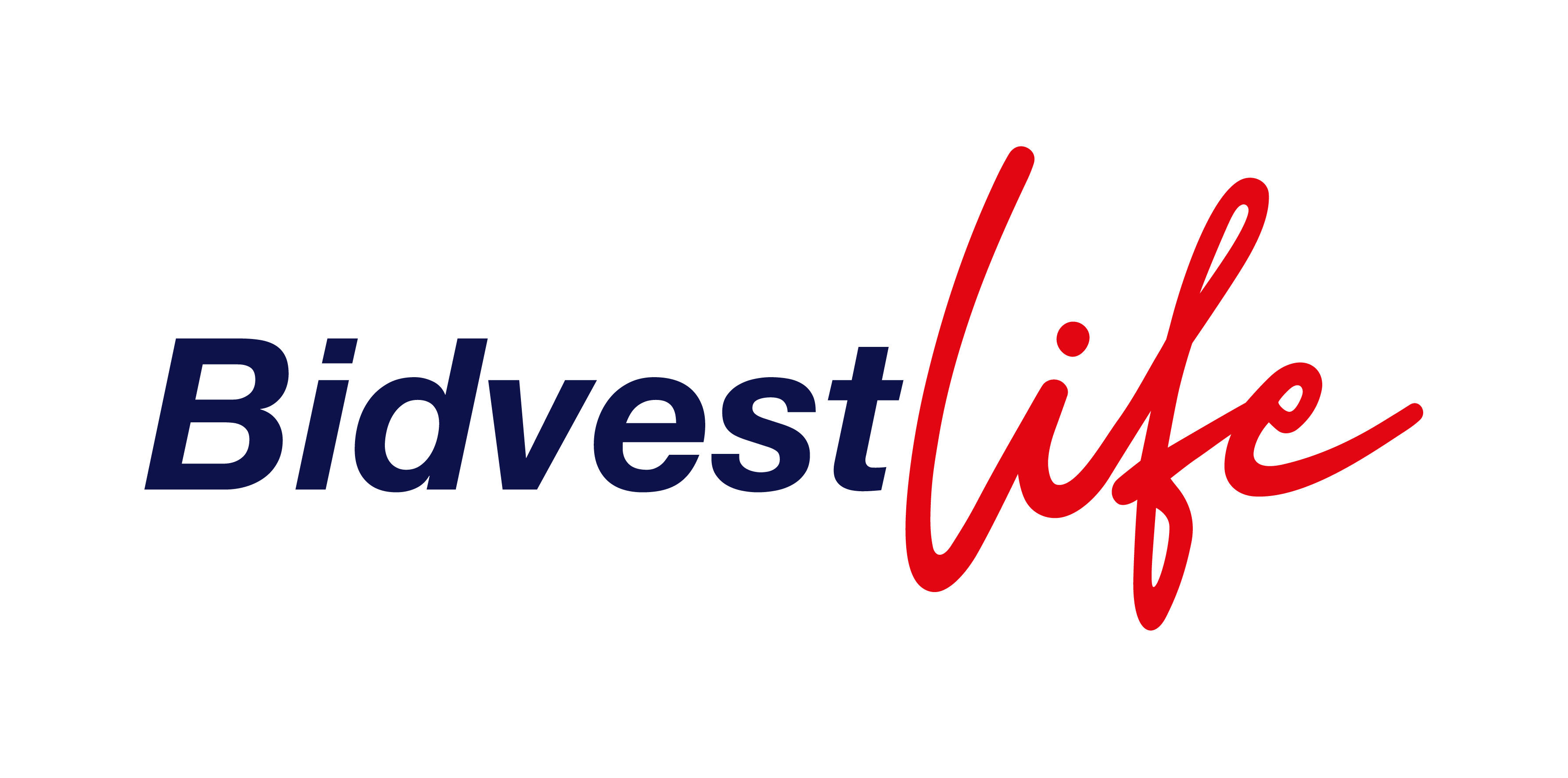 Bidvest Life: changing the way we do life insurance - COVER WebMag